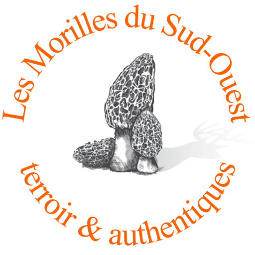 A propos de nous ! – Morilles du Sud-Ouest